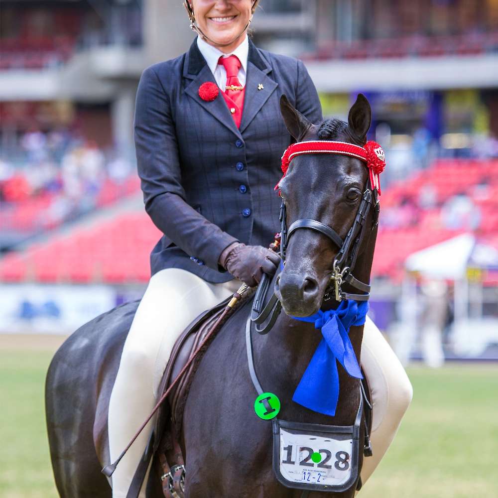 Royalwood Rossini (exp NZ)