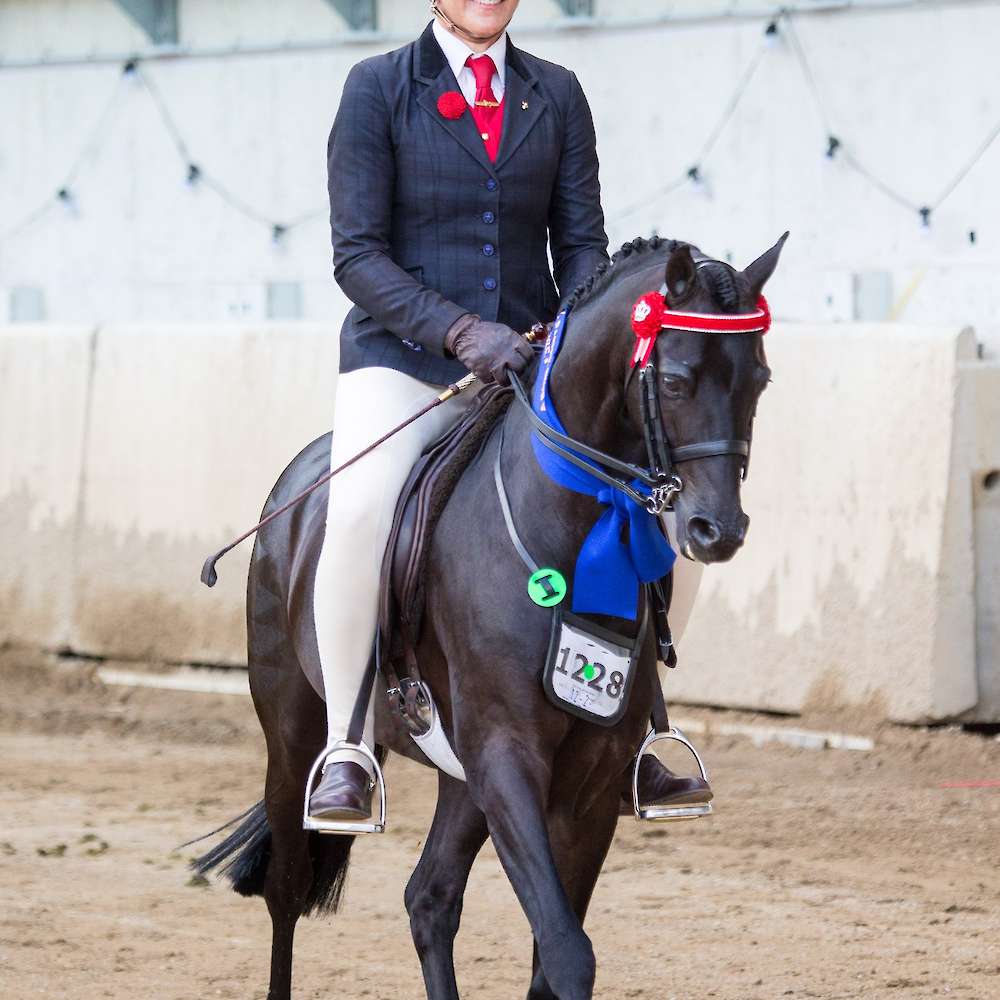 Royalwood Rossini (exp NZ)