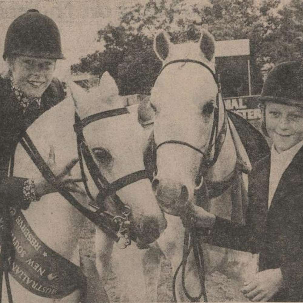 Family History of Horses
